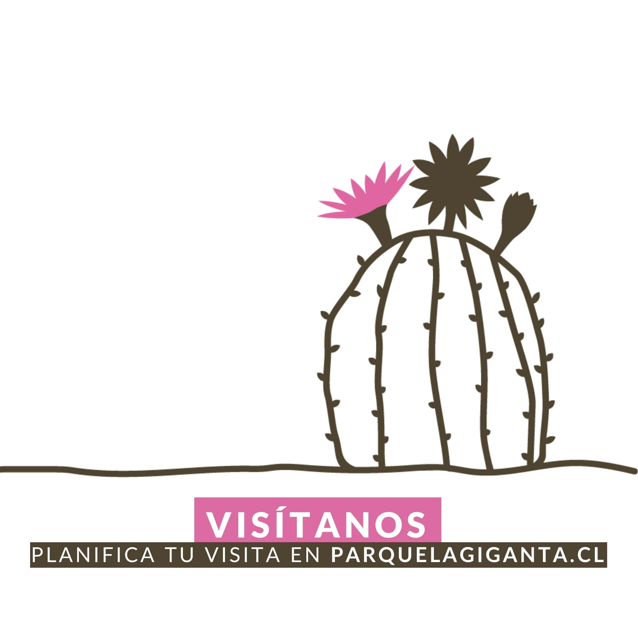 Entrada Parque La Giganta (Ticket día de semana)