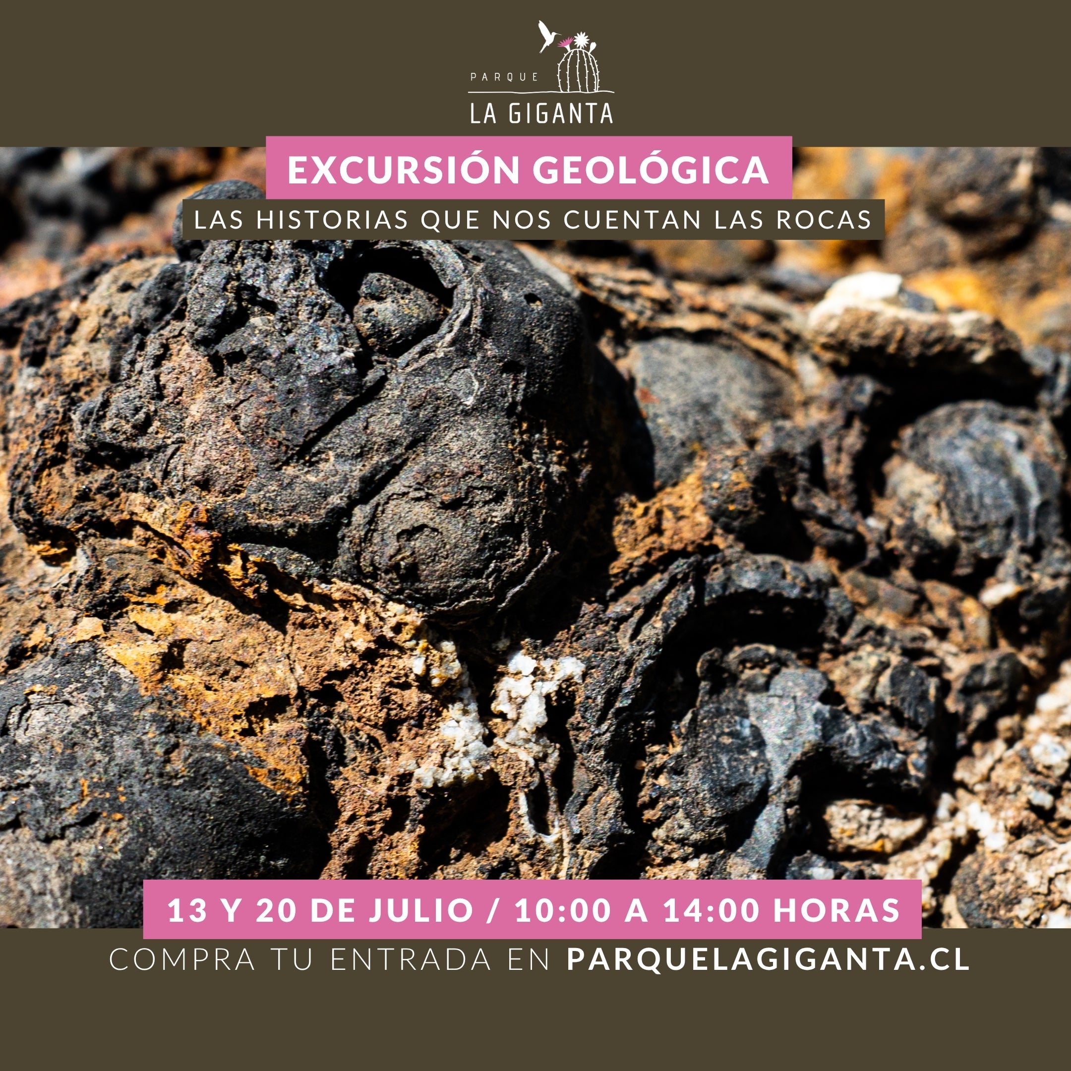 Excursión Geológica en Parque La Giganta.