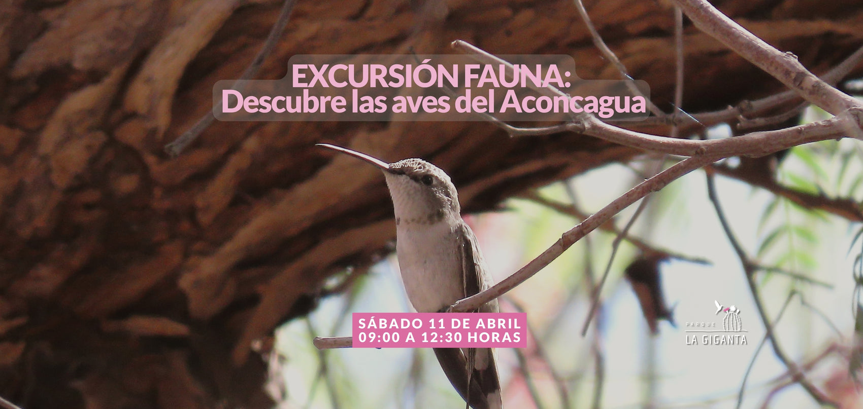 Parque La giganta – Parque La Giganta
