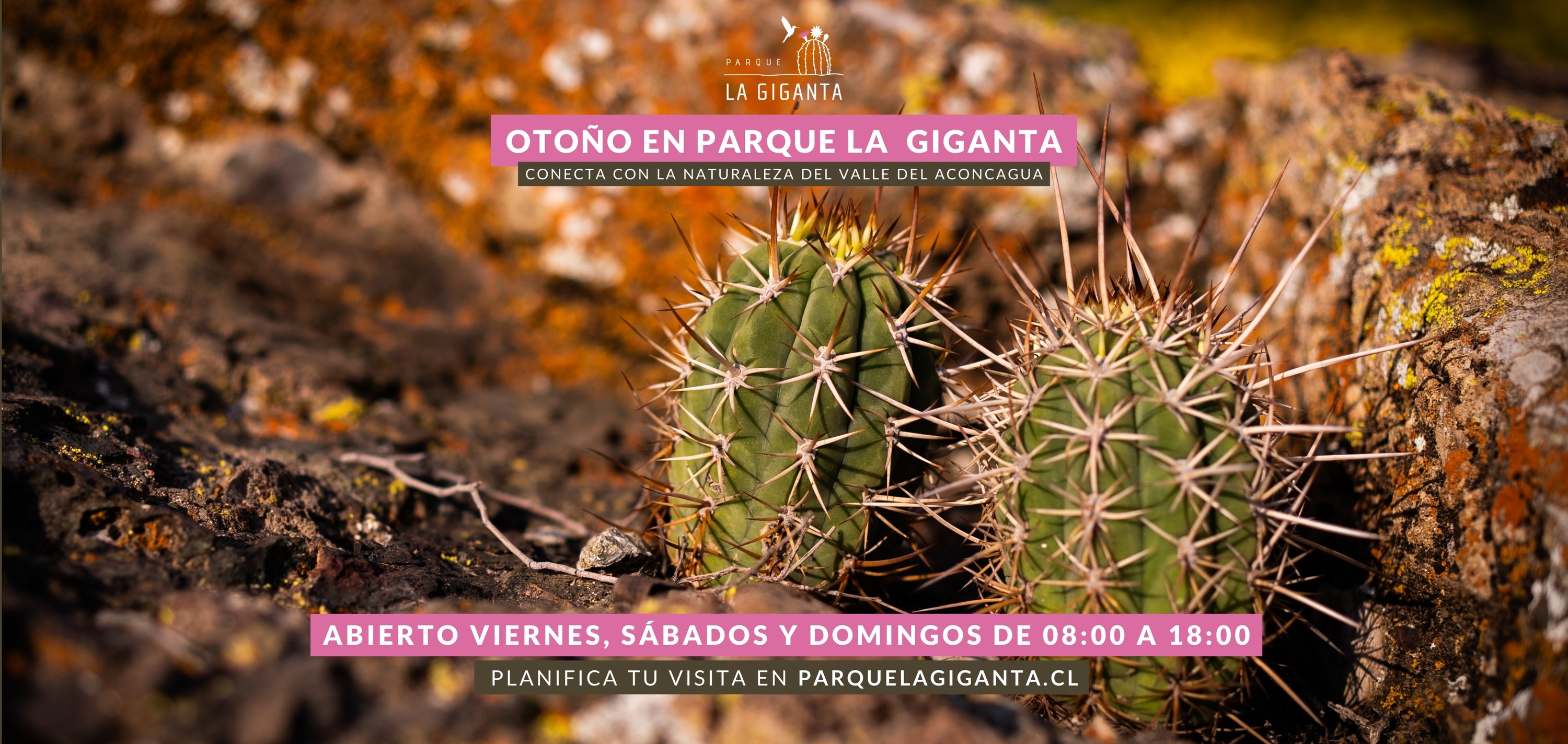 Parque La giganta – Parque La Giganta