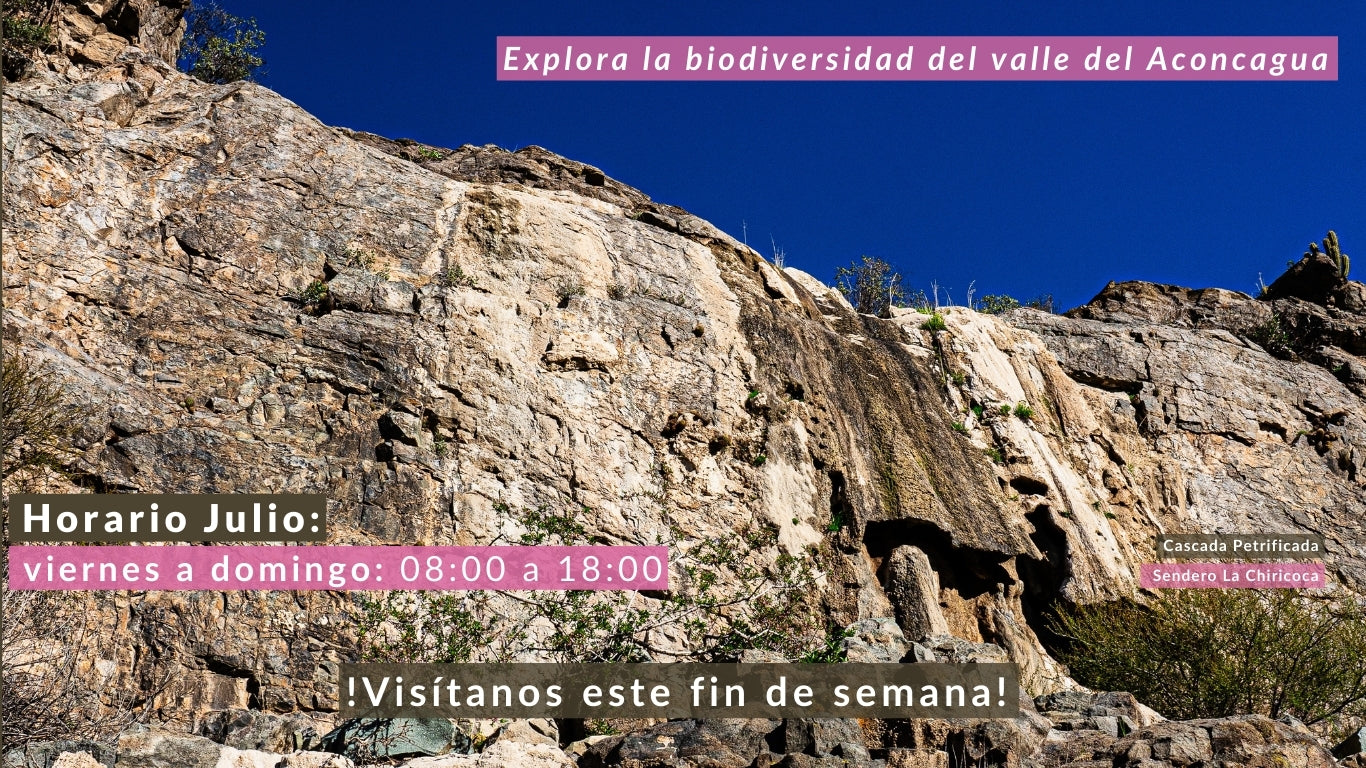 Parque La giganta – Parque La Giganta