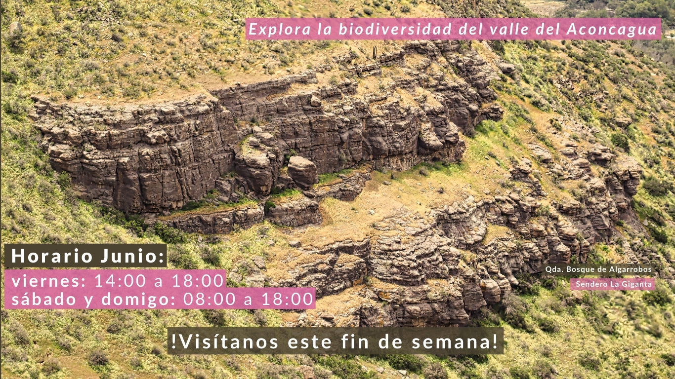 Parque La giganta – Parque La Giganta