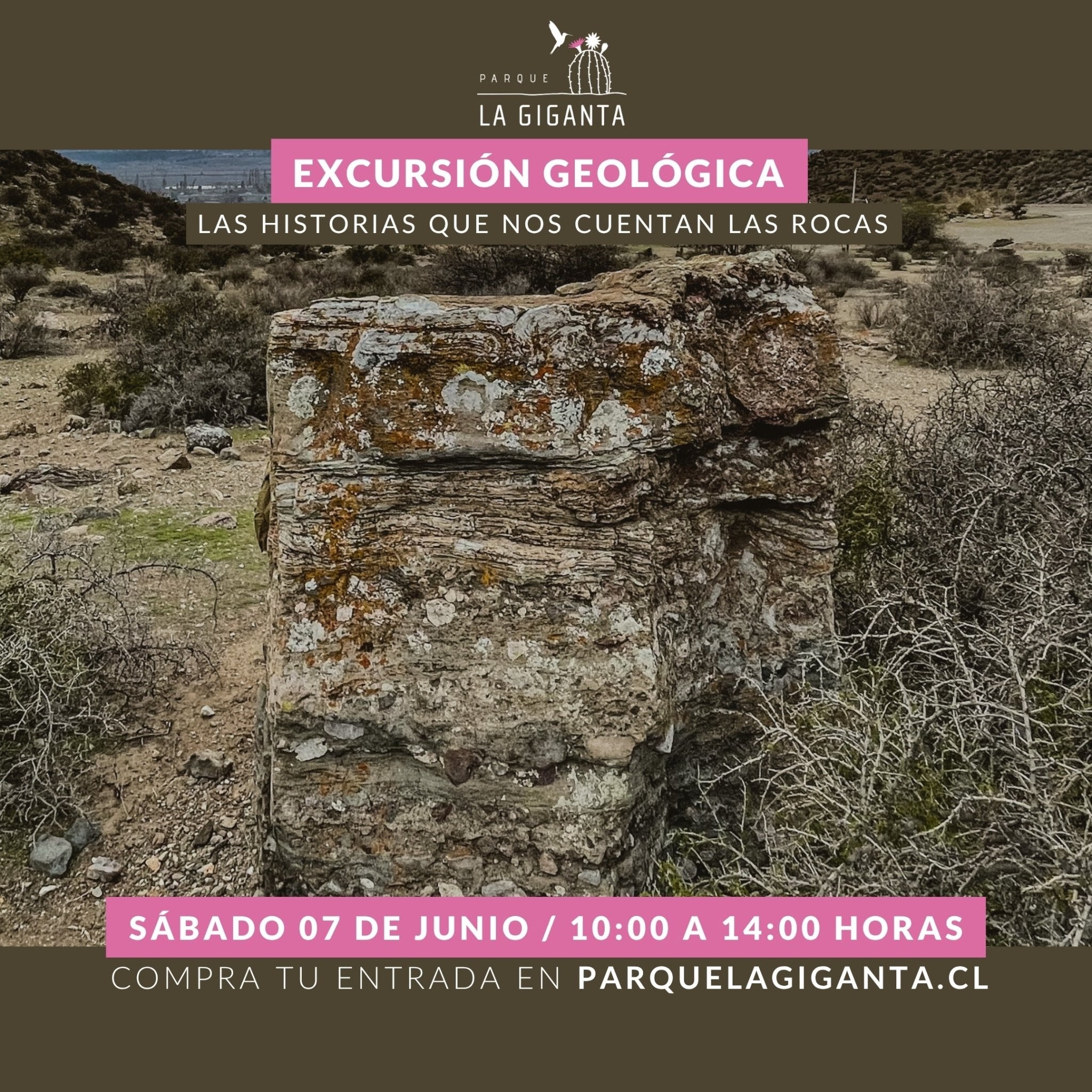 Excursión Geológica en Parque La Giganta.